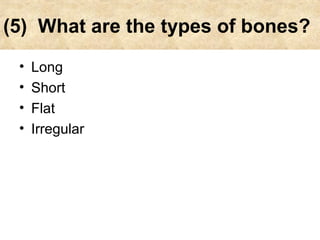 Anatomy Unit 4 Notes: Bone Types, Function, The Skeleton | PPT