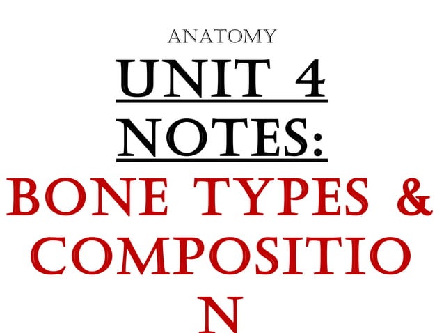 Anatomy Unit 4 Notes: Bone Types, Function, The Skeleton | PPT