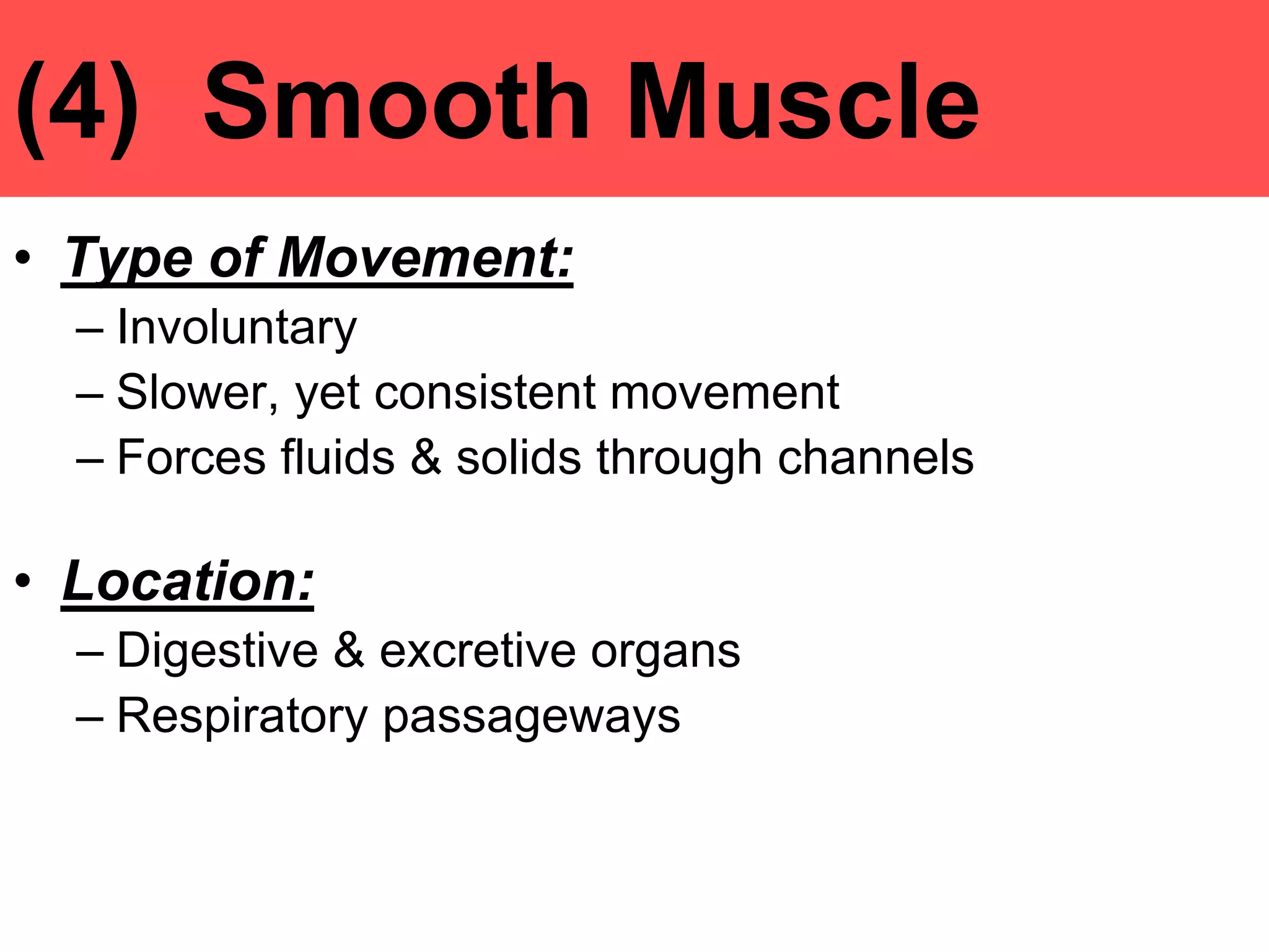 Anatomy Unit 4 Notes: Muscle Types & Parts | PPT