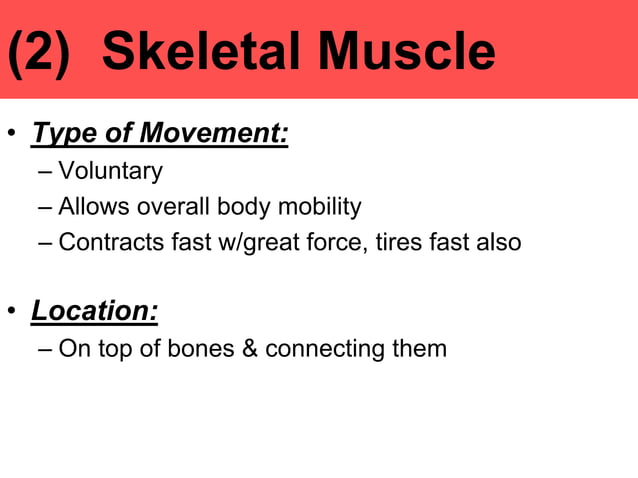 Anatomy Unit 4 Notes: Muscle Types & Parts