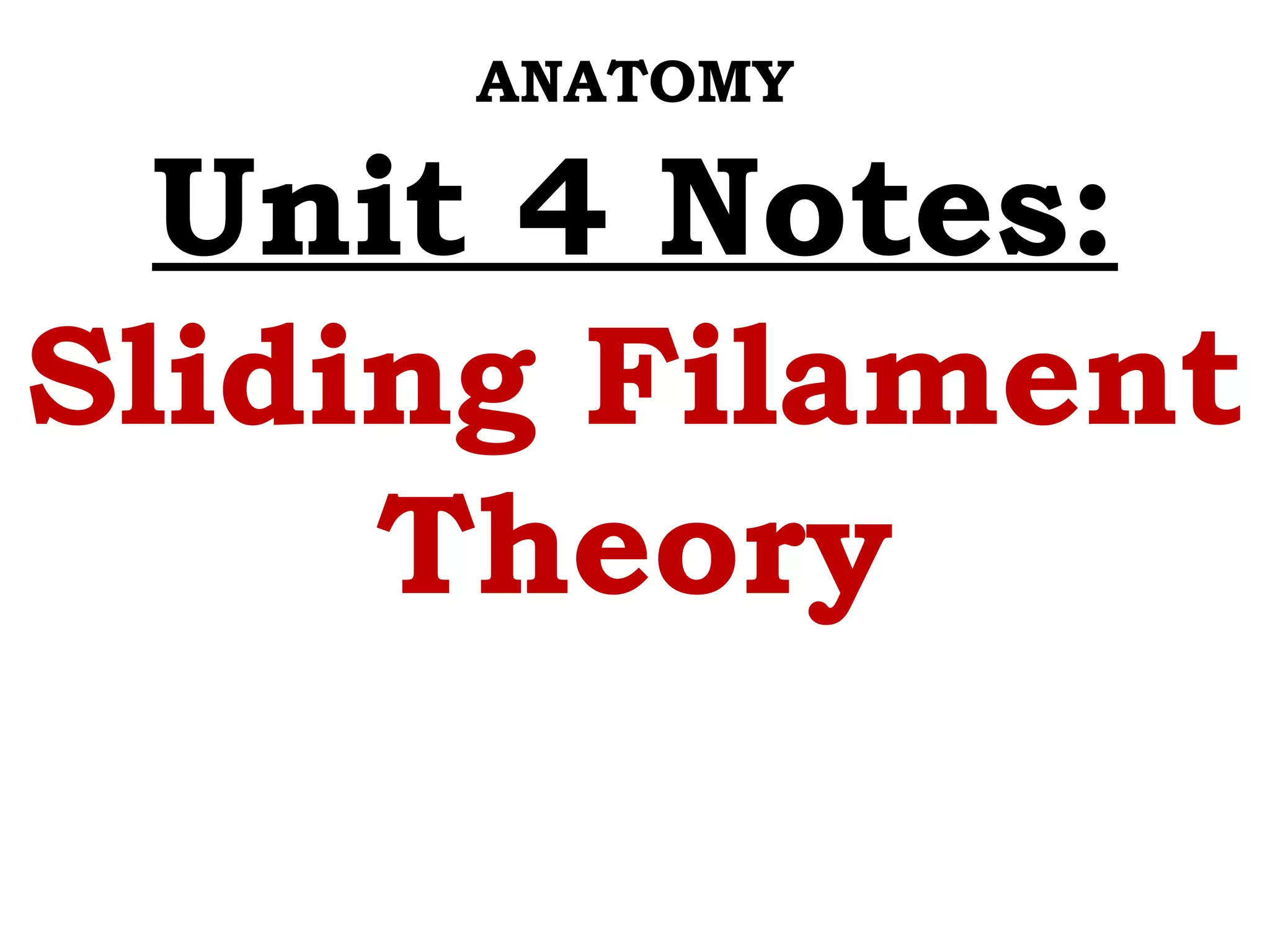 Anatomy Unit 4 Notes: The Sliding Filament Theory | PPT