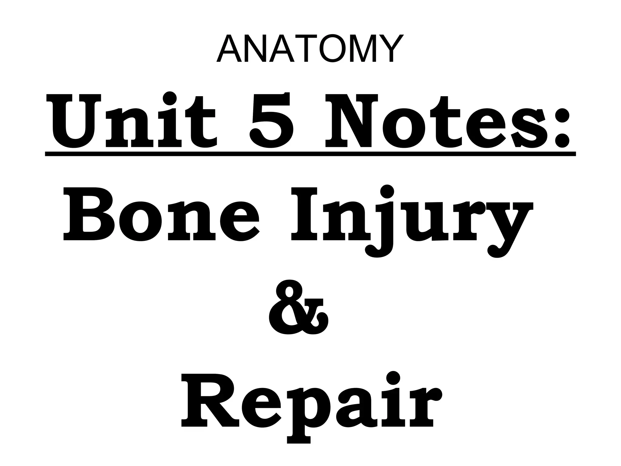 Anatomy unit 5 skeletal and muscular systems bone injury and repair ...