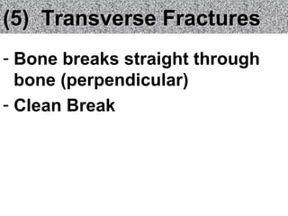 Anatomy unit 5 skeletal and muscular systems bone injury and repair ...