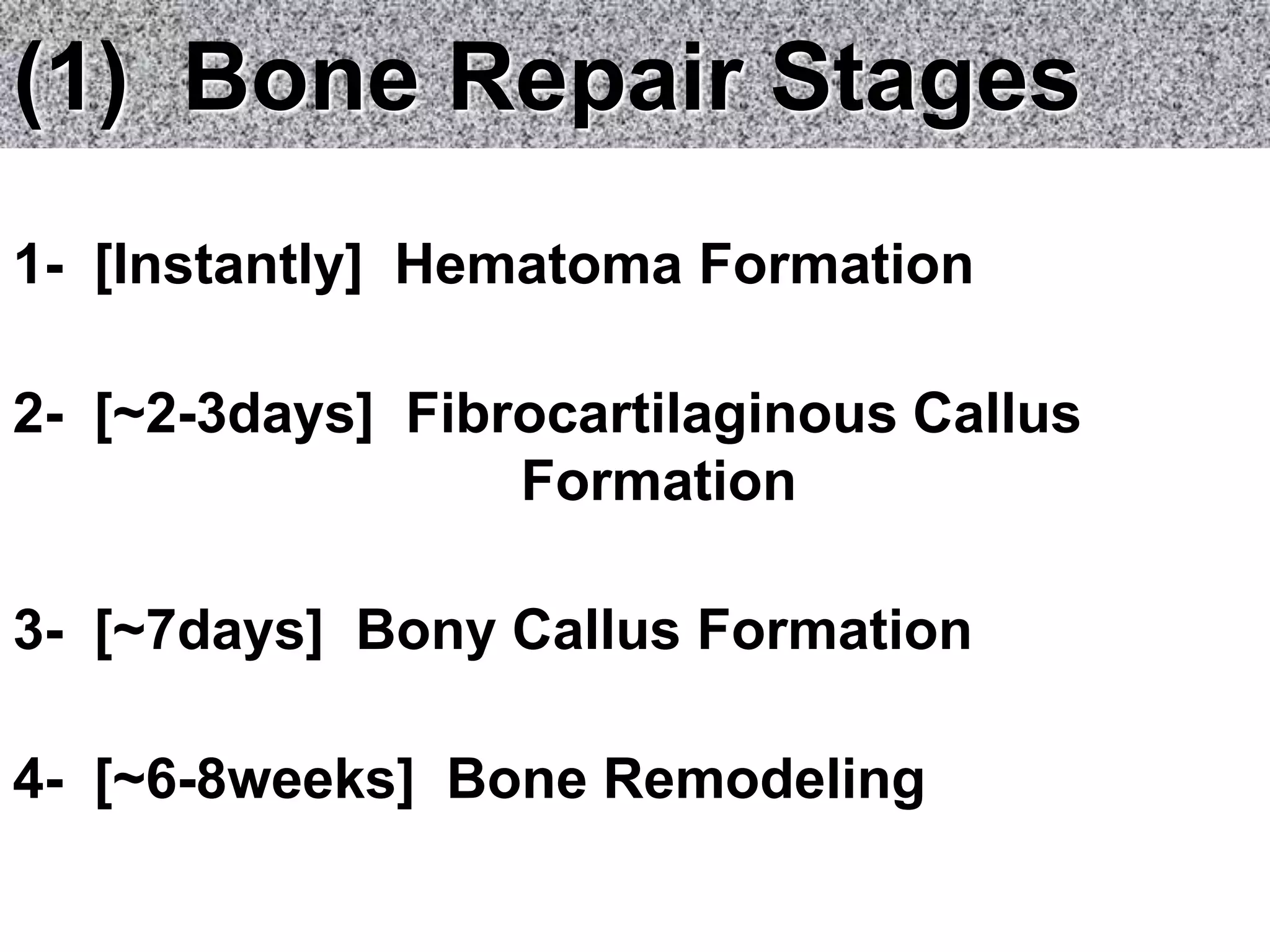 Anatomy unit 5 skeletal and muscular systems bone repair notes | PPT