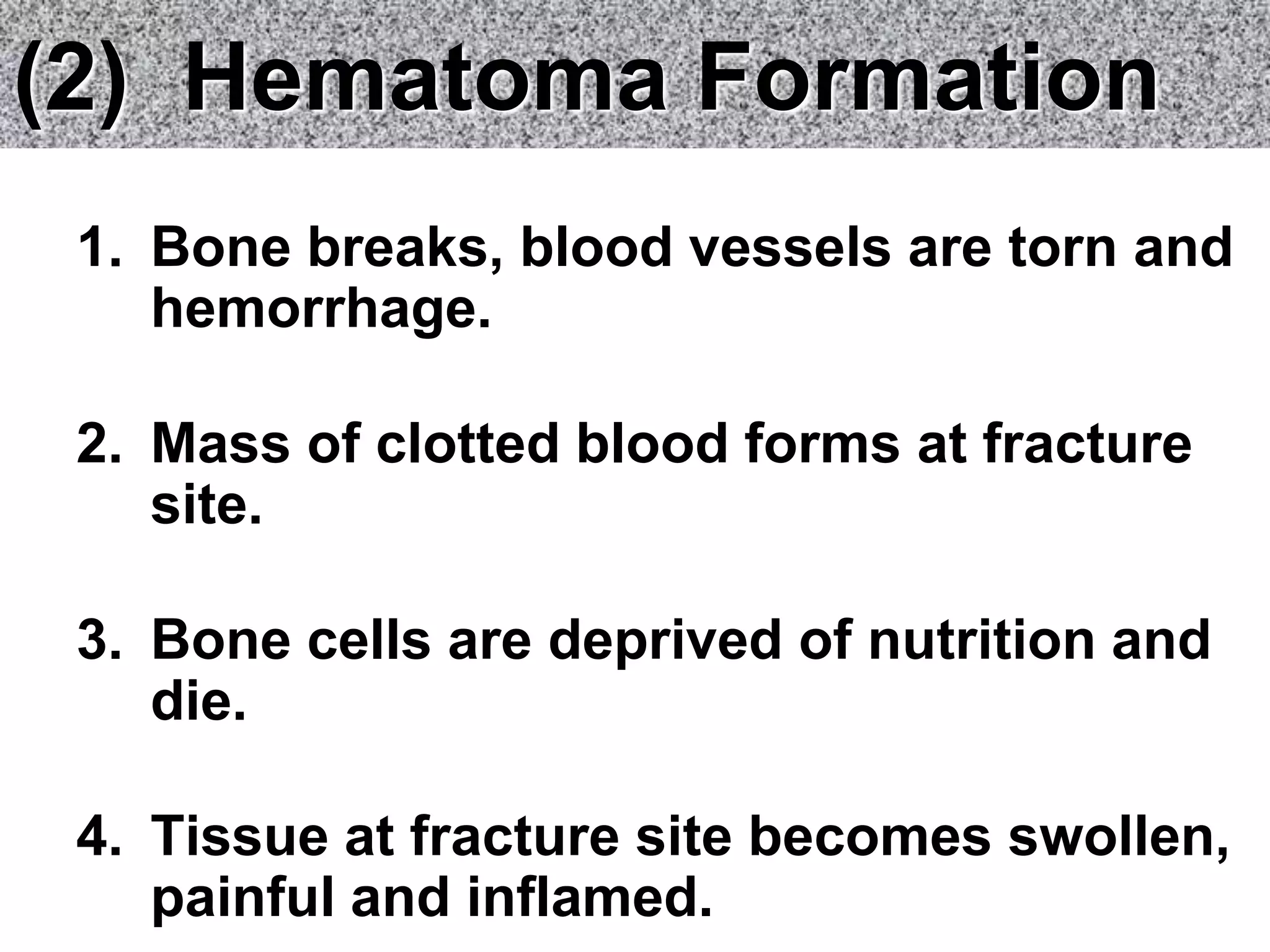 Anatomy unit 5 skeletal and muscular systems bone repair notes | PPT