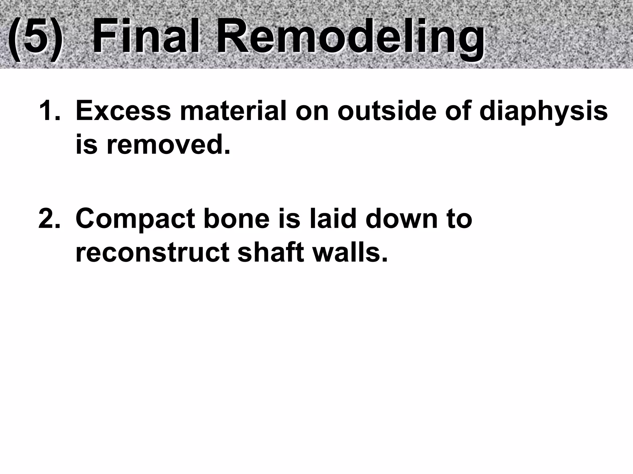 Anatomy unit 5 skeletal and muscular systems bone repair notes | PPT