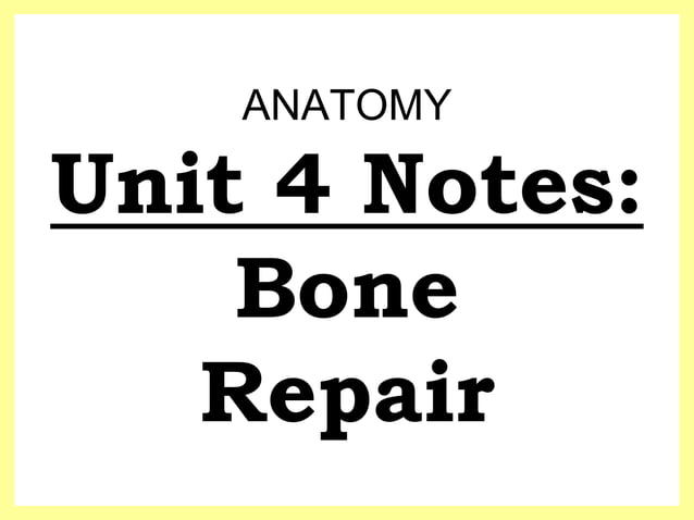 Anatomy unit 5 skeletal and muscular systems bone repair notes | PPT