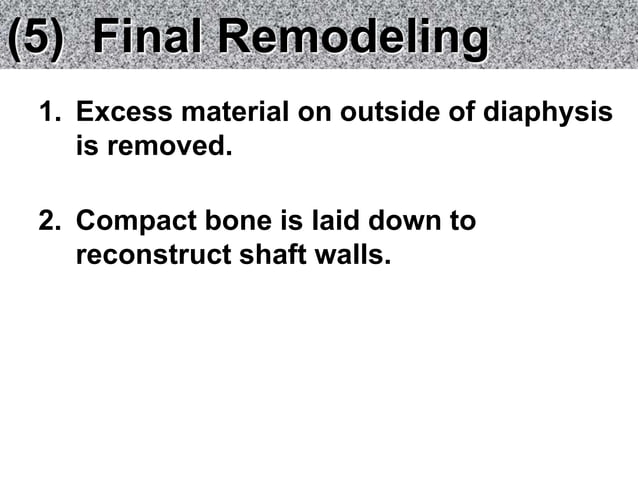 Anatomy unit 5 skeletal and muscular systems bone repair notes | PPT