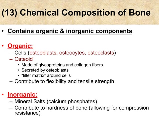Anatomy unit 5 skeletal and muscular systems bone types and composition ...