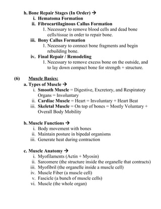 Anatomy unit 5 skeletal and muscular systems exam everything you need ...
