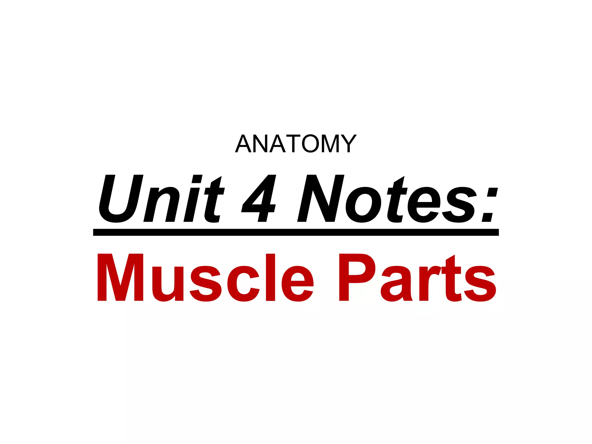 Anatomy unit 5 skeletal and muscular systems muscle types notes | PPT