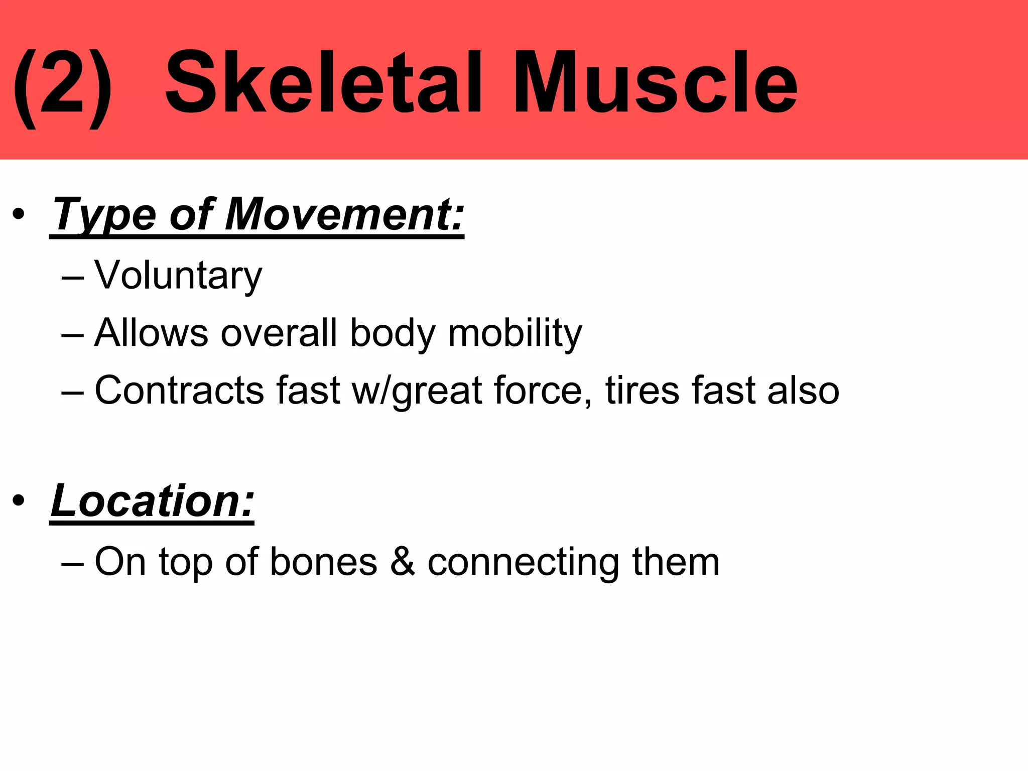 Anatomy unit 5 skeletal and muscular systems muscle types notes | PPT