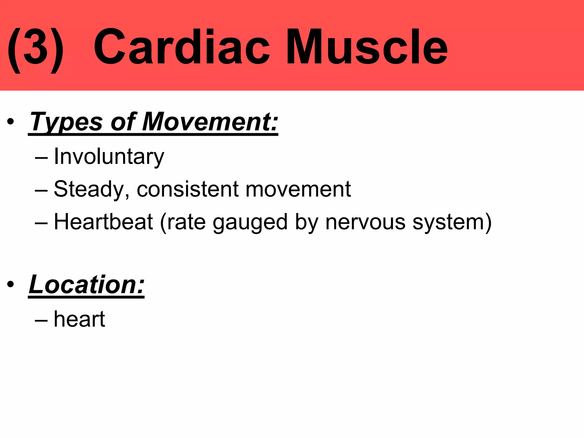 Anatomy unit 5 skeletal and muscular systems muscle types notes | PPT