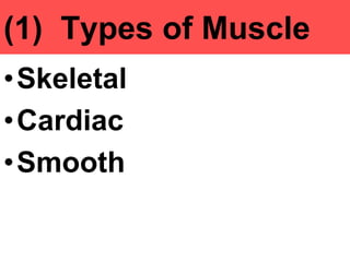 Anatomy unit 5 skeletal and muscular systems muscle types notes | PPT ...
