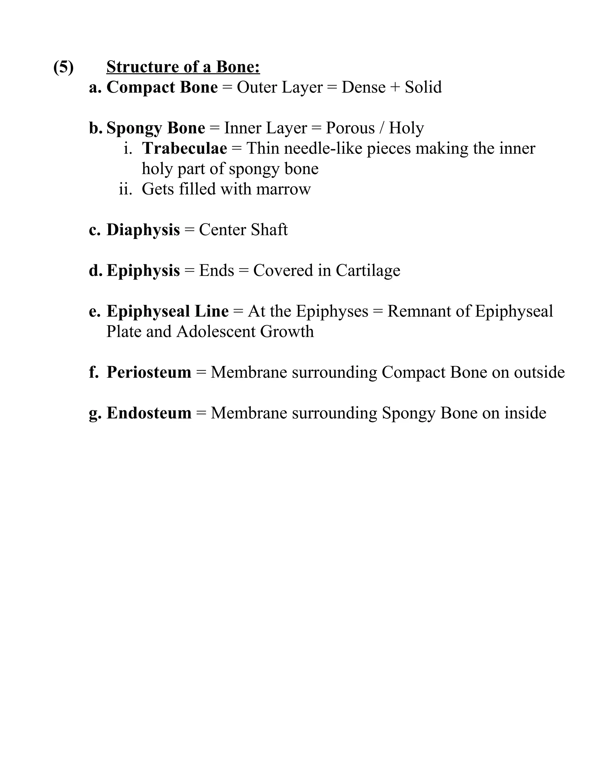 Anatomy unit 5 skeletal and muscular systems quiz #1 everything you ...