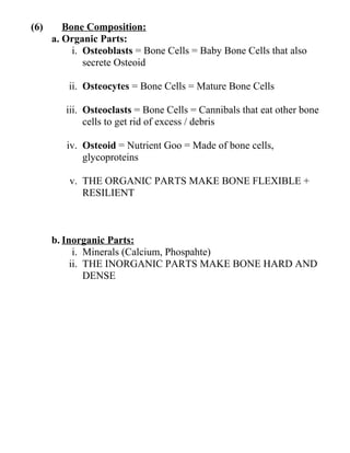 Anatomy unit 5 skeletal and muscular systems quiz #1 everything you ...