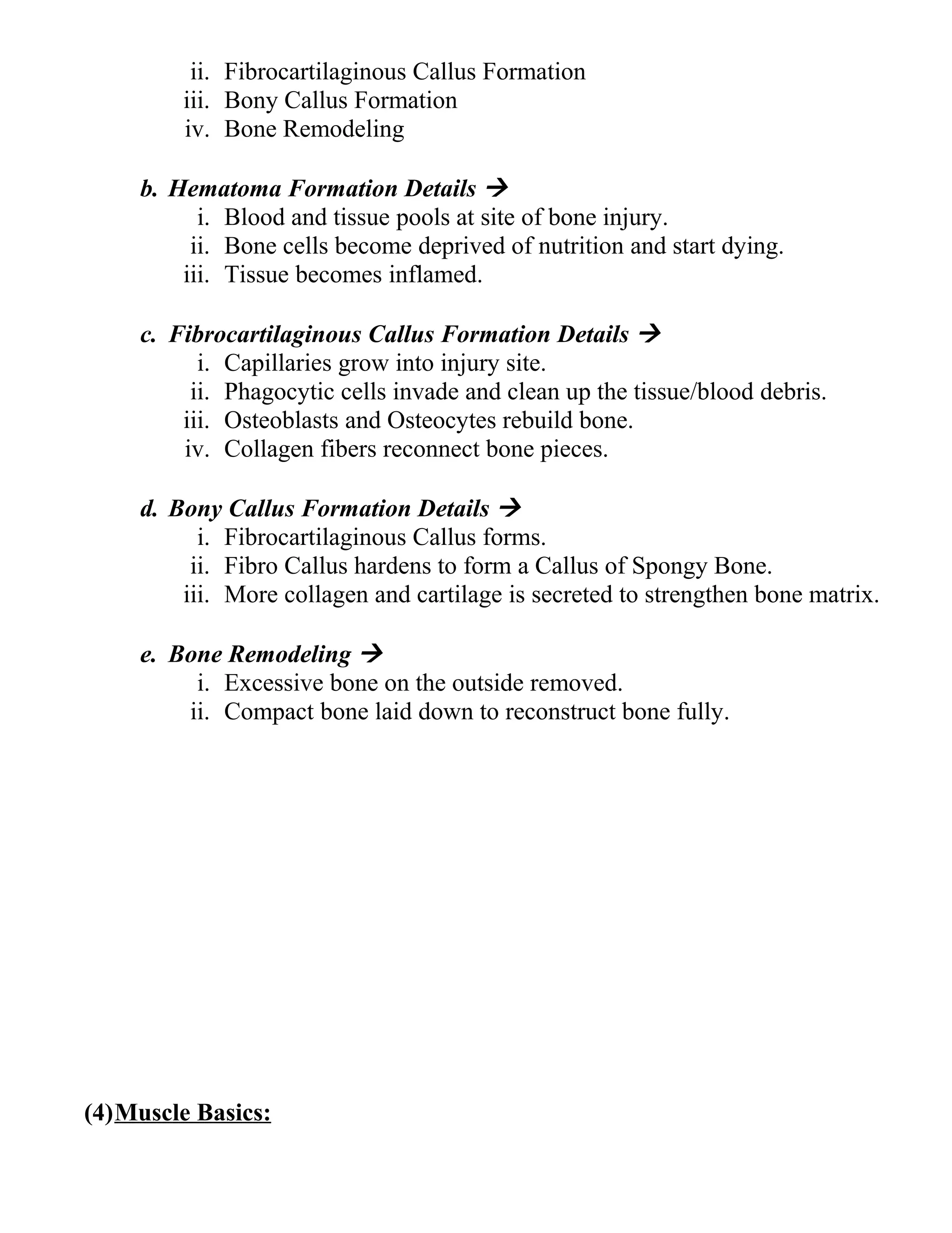 Anatomy unit 5 skeletal and muscular systems quiz #2 everything you ...