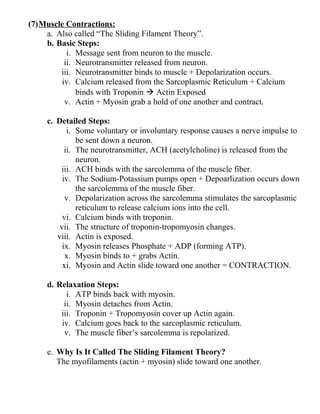Anatomy unit 5 skeletal and muscular systems quiz #2 everything you ...