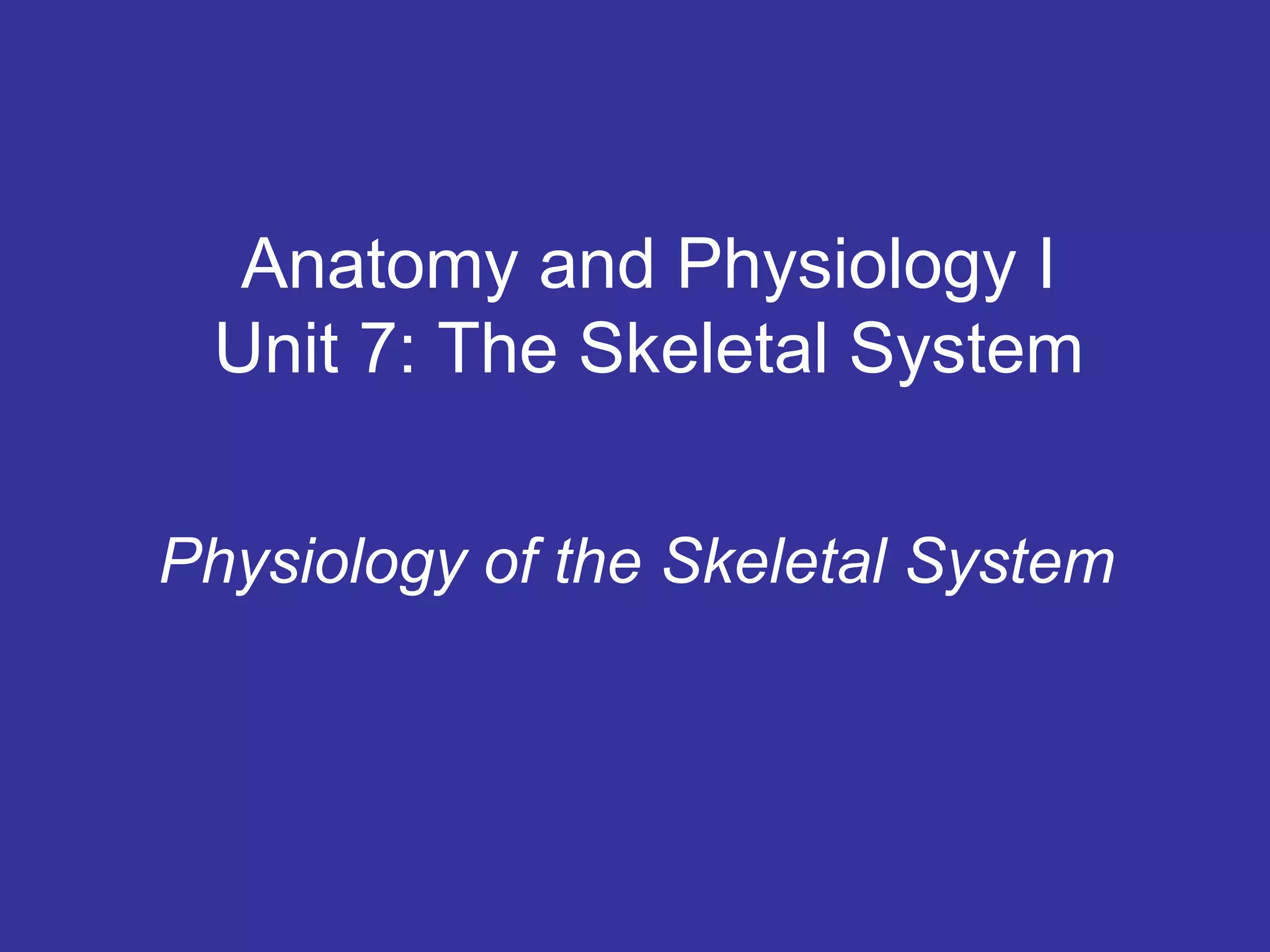 Anatomy unit 7 physiology of the skeletal system | PPT