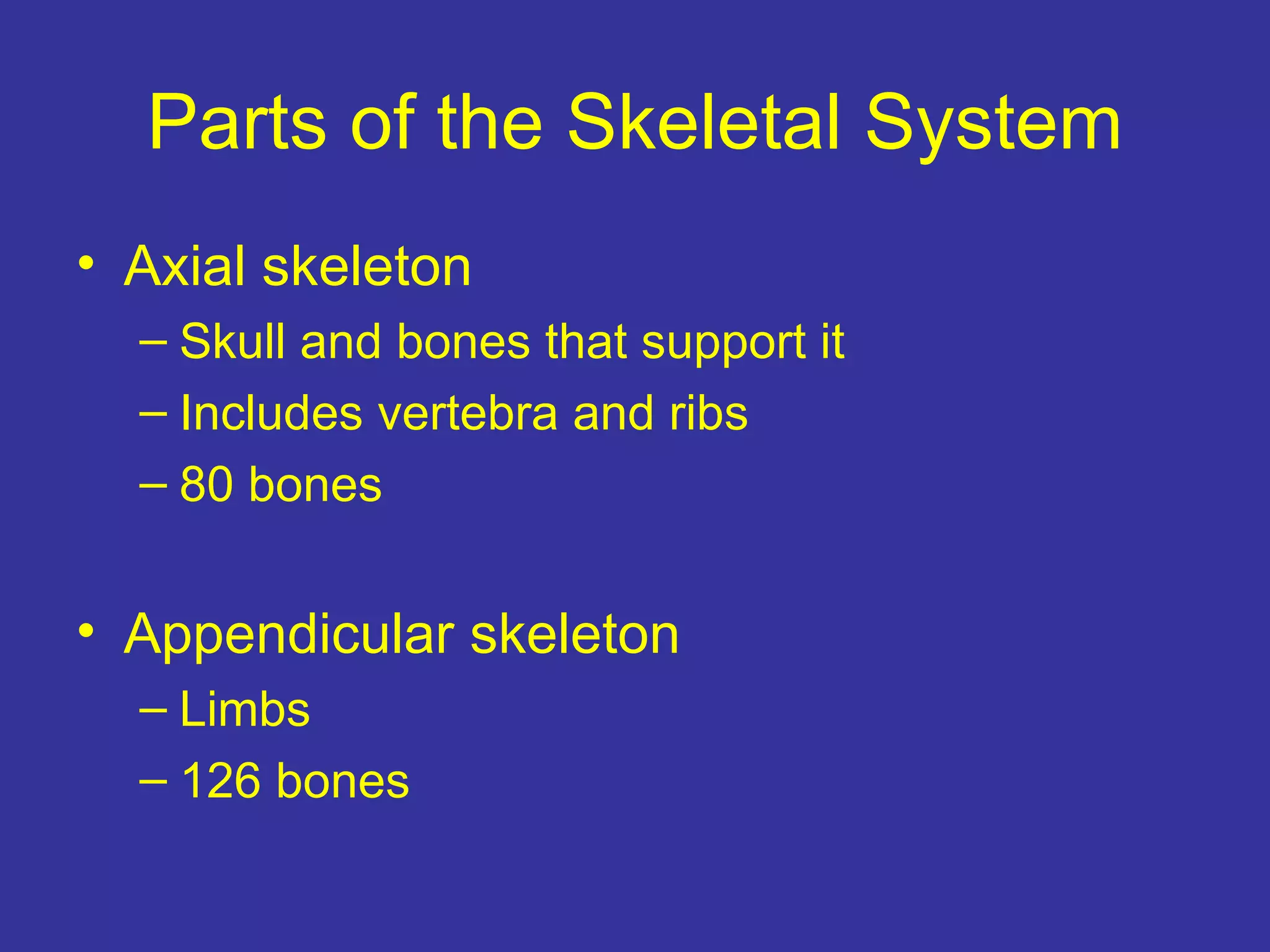Anatomy unit 7 physiology of the skeletal system | PPT