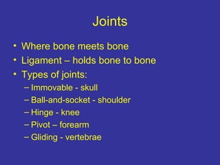 Anatomy unit 7 physiology of the skeletal system | PPT