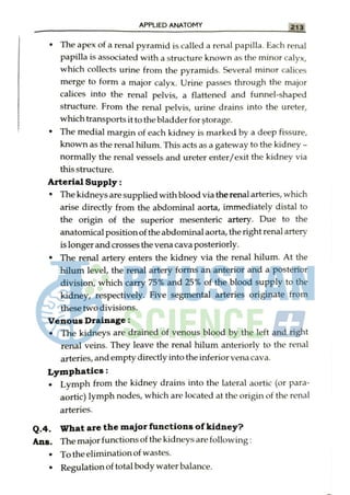 Anatomy Unit 8 The Renal System.pdf