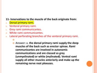 Anatomy upper limb mrcs part a | PPTX