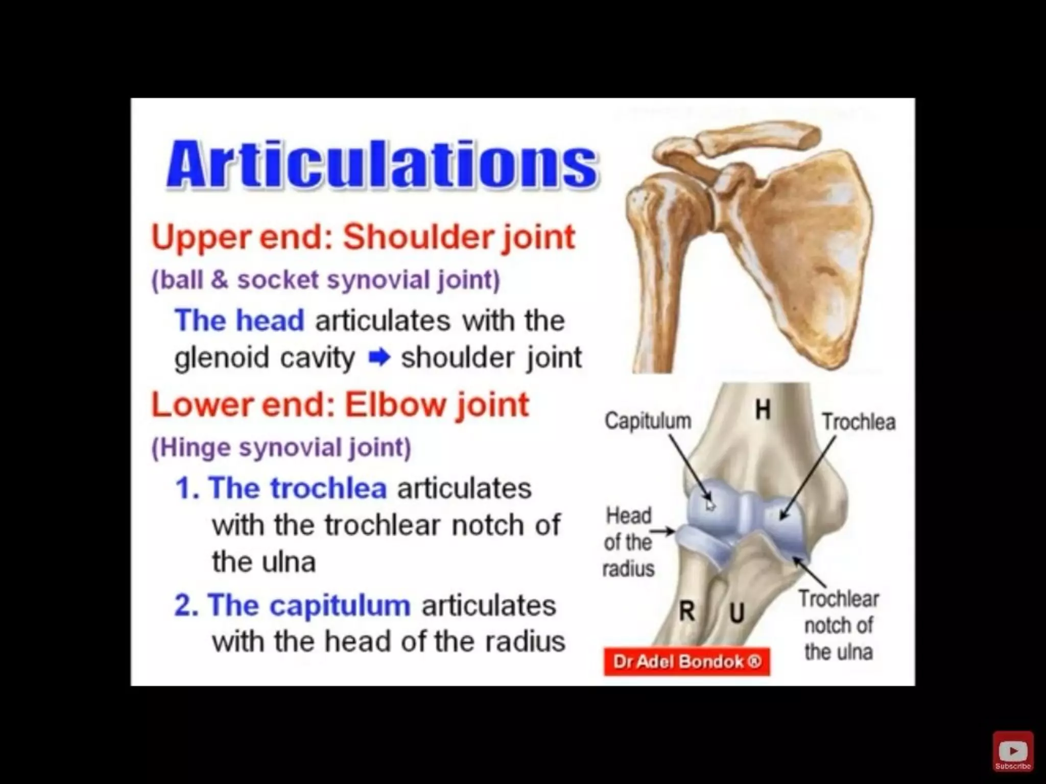 Anatomy upper limb summary mself.pdf