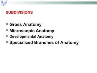 anatomy upper limp.pdf subdivision gross,microscopicanatomy | PPT
