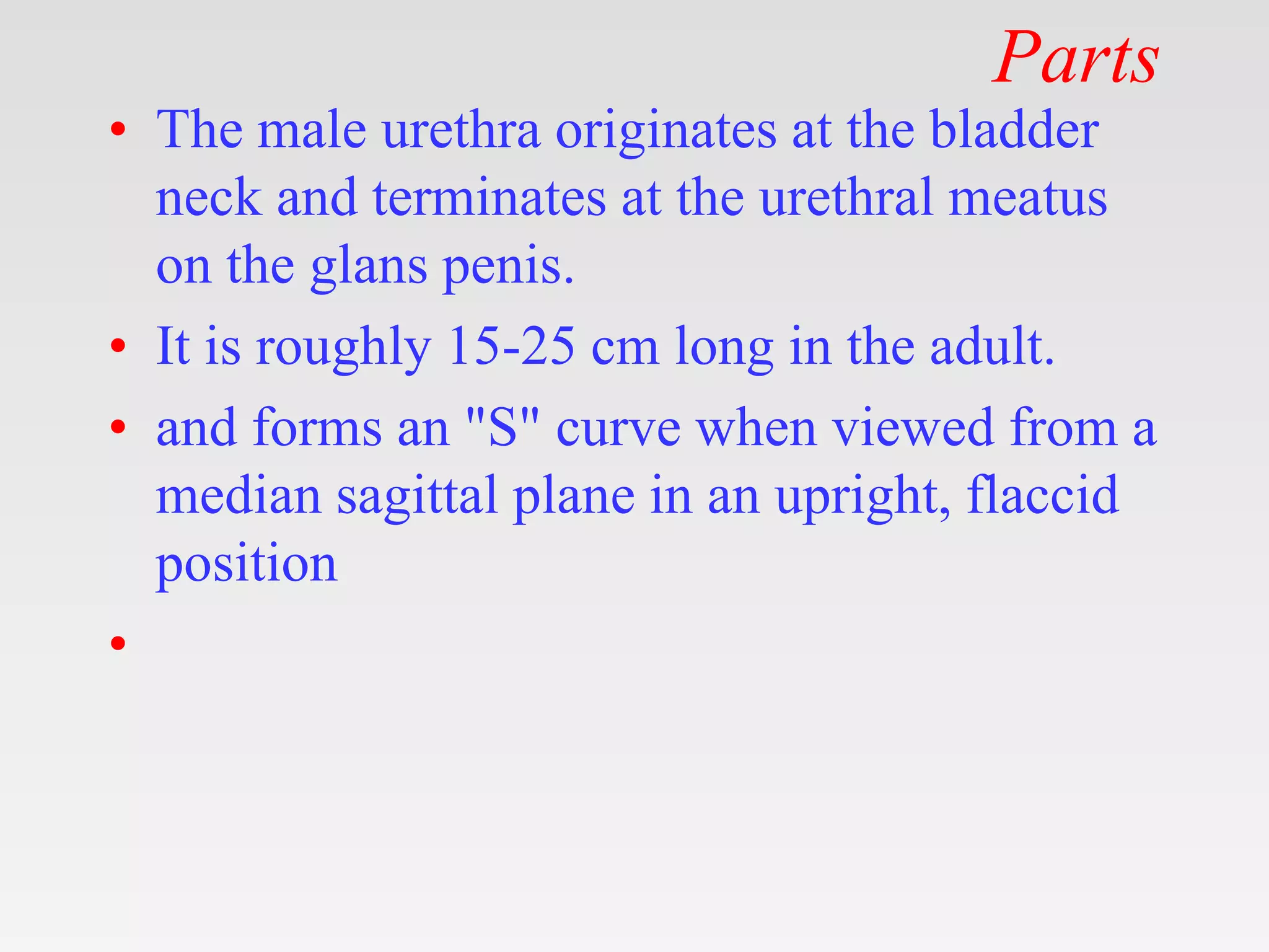 Anatomy Urethra.pptx