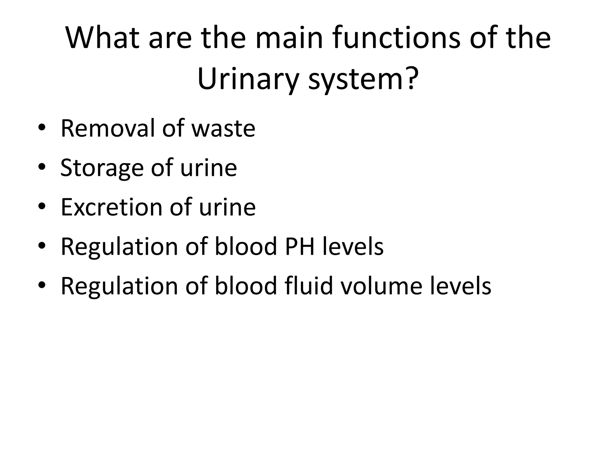 Anatomy urinary system | PPT