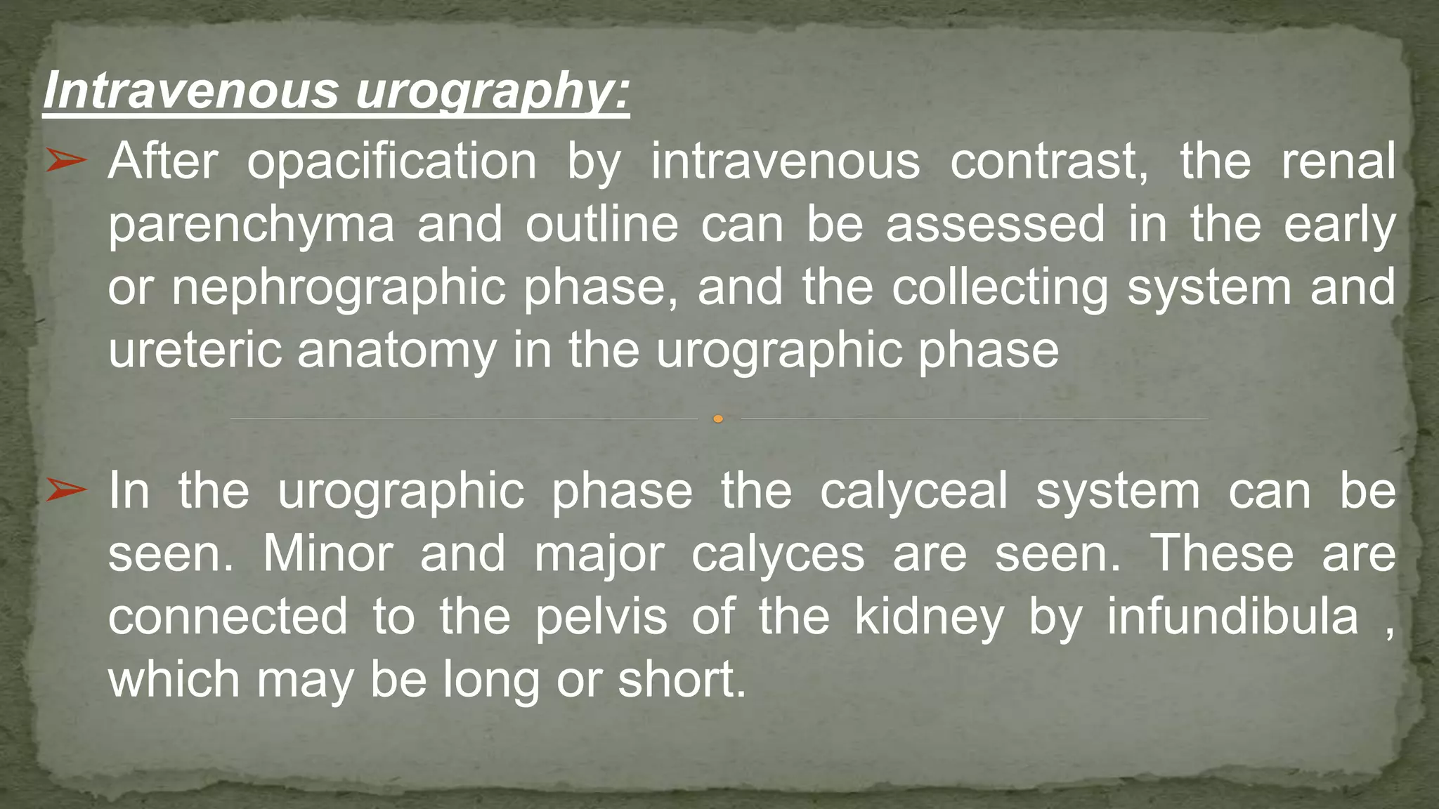 anatomy urinary system.pptx