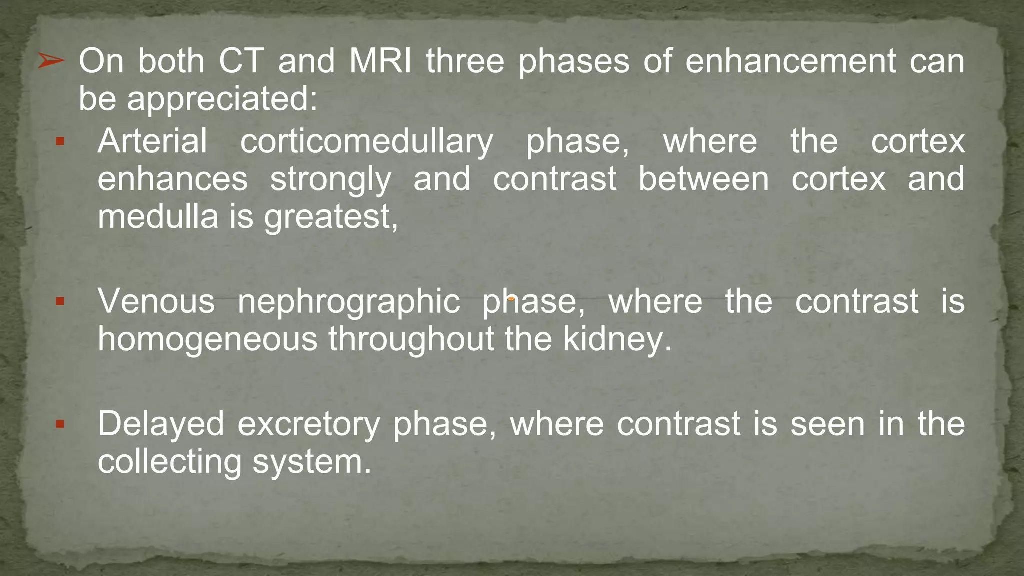 anatomy urinary system.pptx