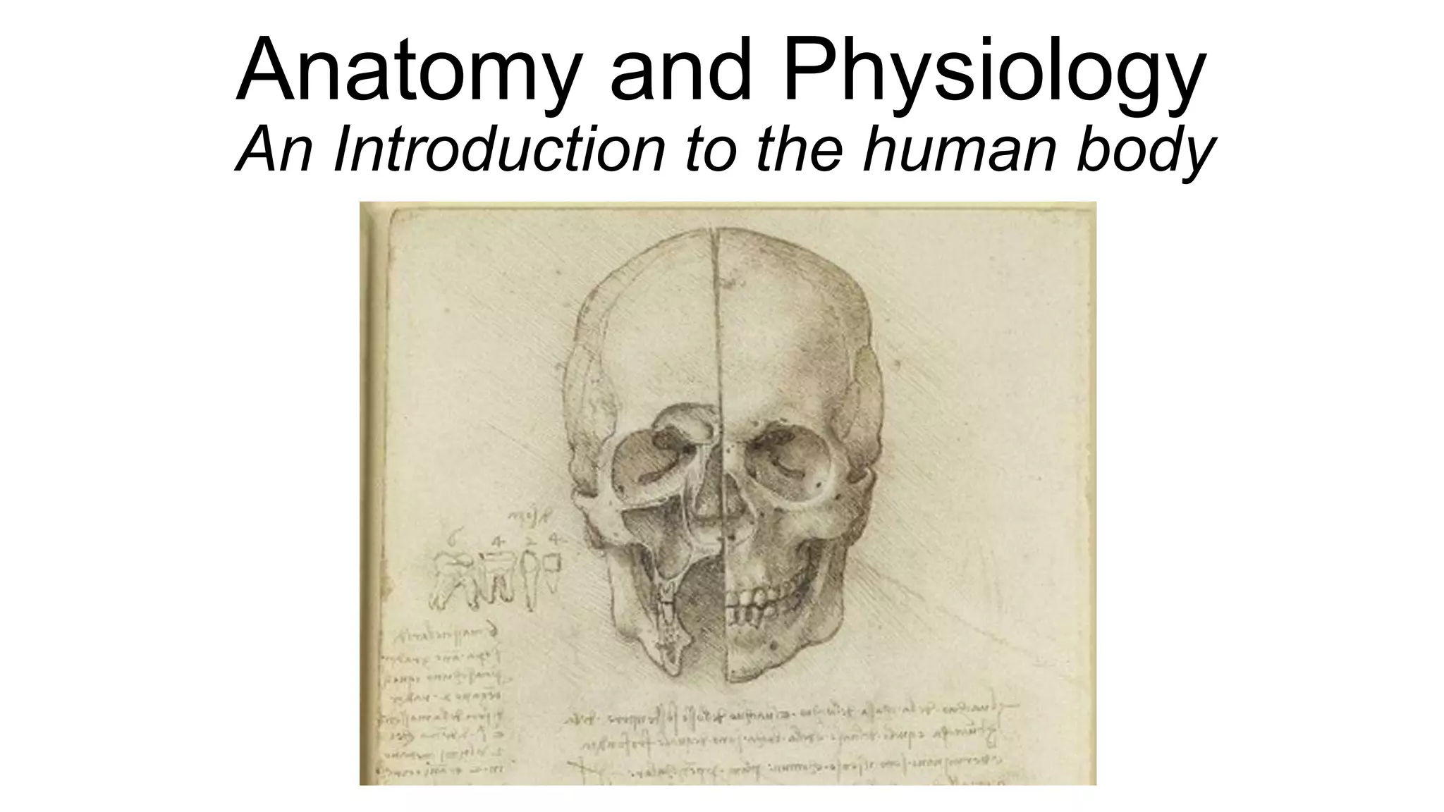Anatomy and Physiology; Introduction to the human body | PPTX ...