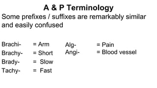 Anatomy and Physiology; Introduction to the human body | PPTX