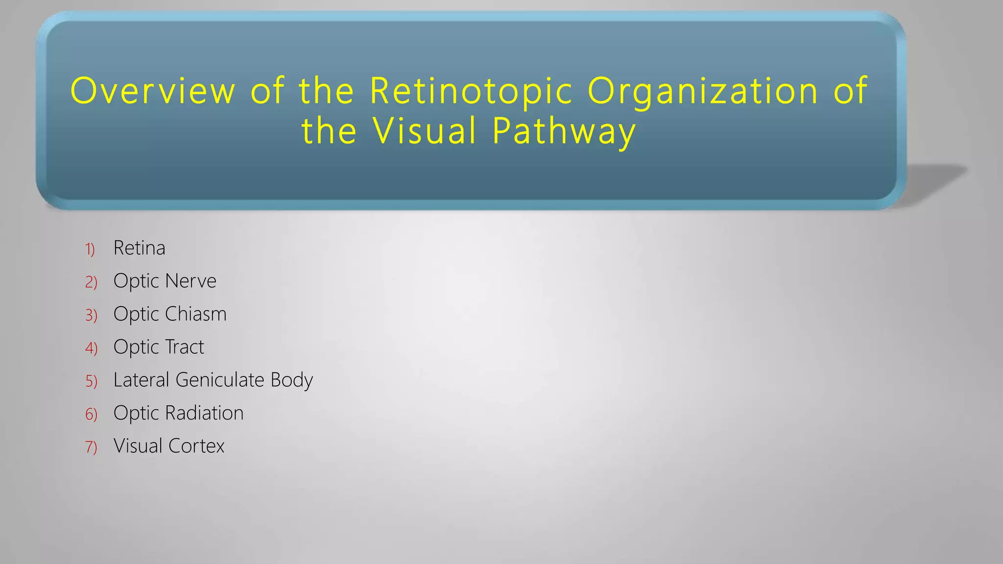 ocular Anatomy visual pathway dr.mohammed | PPT
