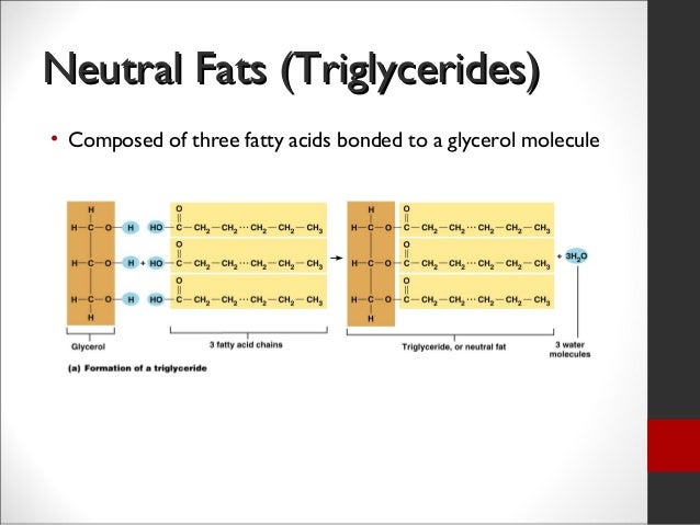 Neutral Fats