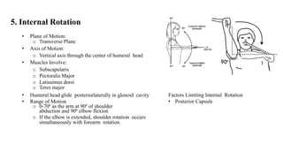 Anatomy and xrays of shoulder joint | PPTX