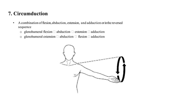 Anatomy and xrays of shoulder joint | PPT