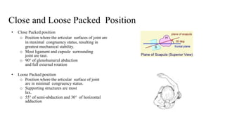 Anatomy and xrays of shoulder joint | PPTX