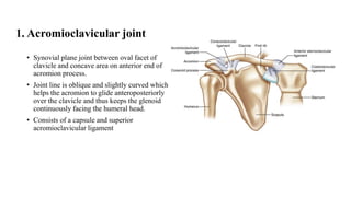 Anatomy and xrays of shoulder joint | PPTX