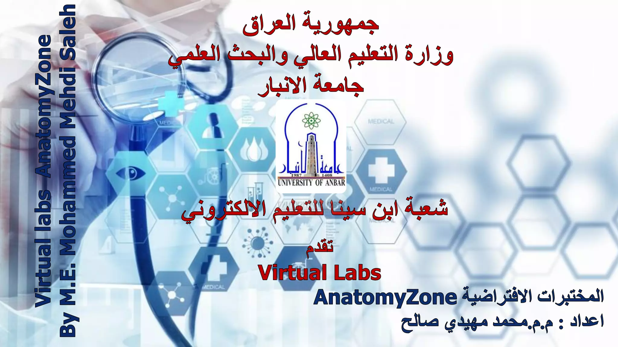 Anatomy zone | PDF