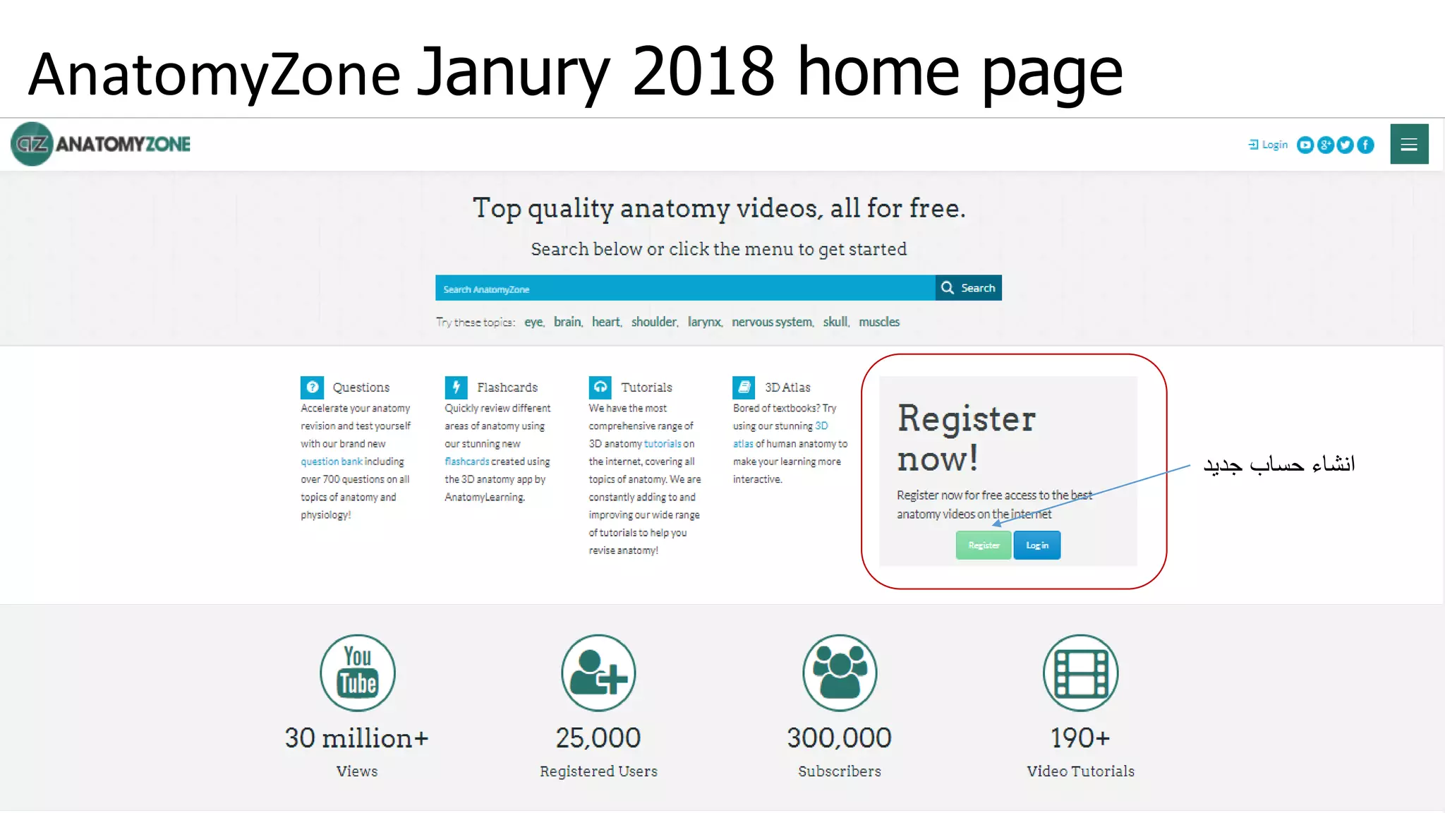 Anatomy zone | PDF