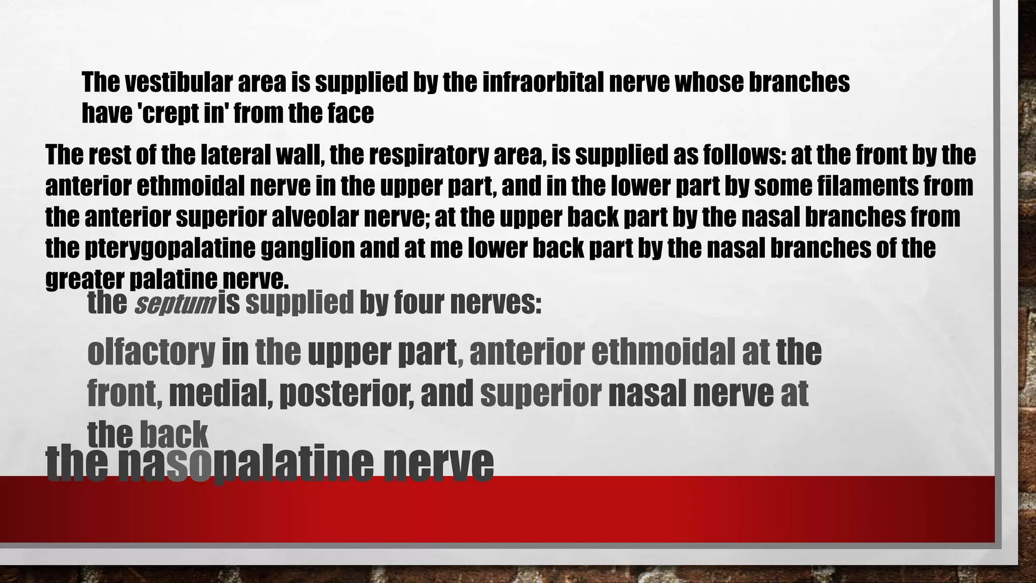 Anatomy of the nose and paranasal sinuses made easy | PPTX