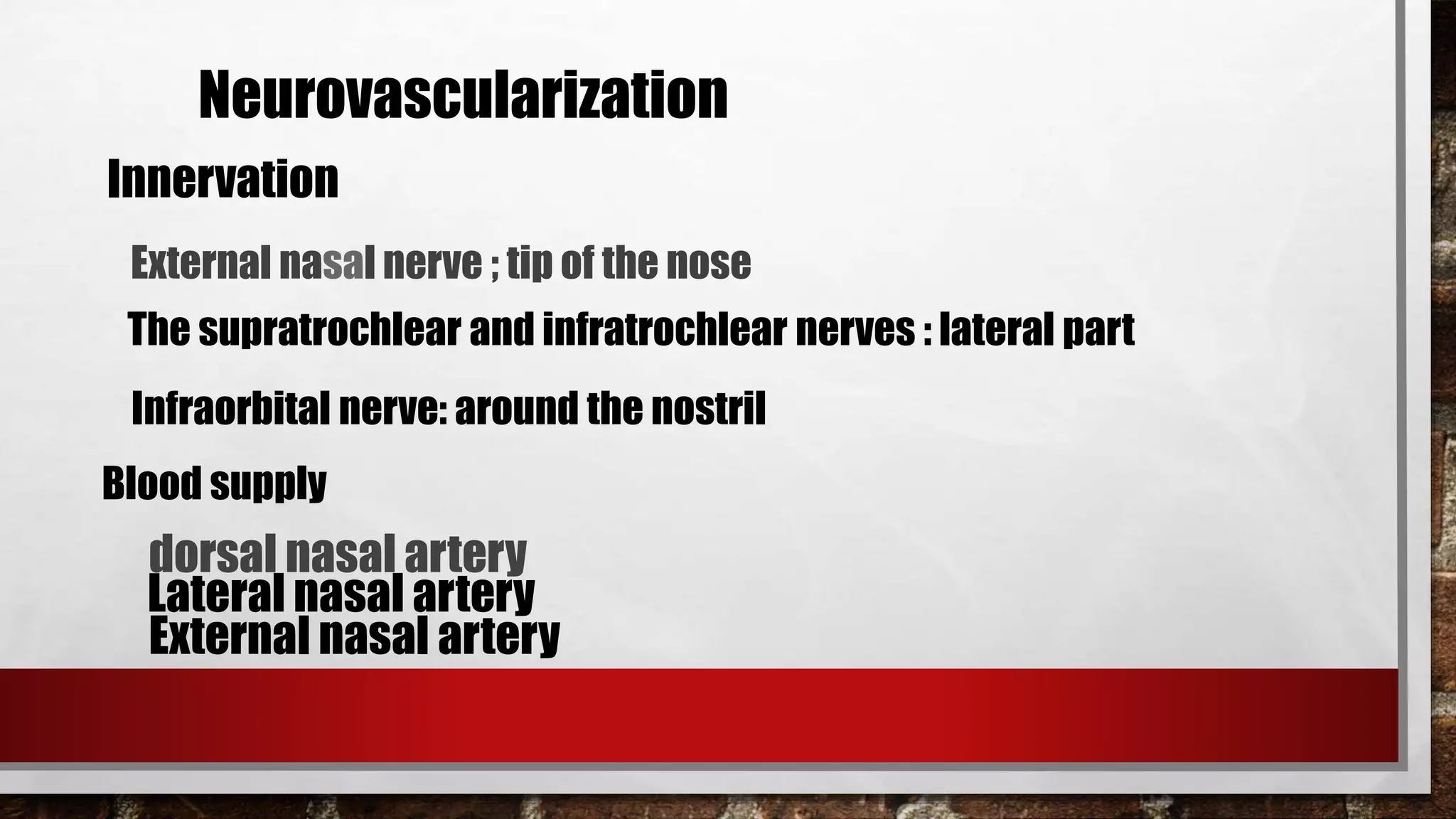 Anatomy of the nose and paranasal sinuses made easy | PPTX