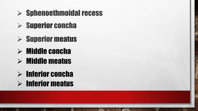 Anatomy of the nose and paranasal sinuses made easy | PPTX