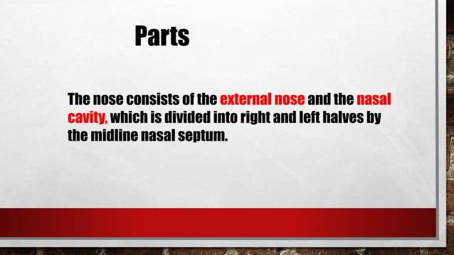 Anatomy of the nose and paranasal sinuses made easy | PPTX