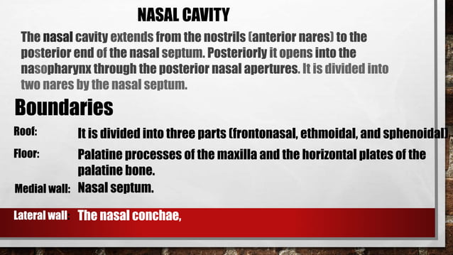 Anatomy of the nose and paranasal sinuses made easy | PPTX