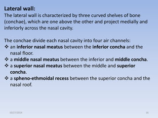 cranial base and nasal cavity | PPTX