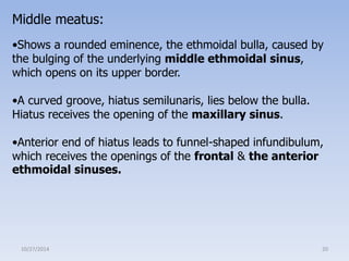 cranial base and nasal cavity | PPTX